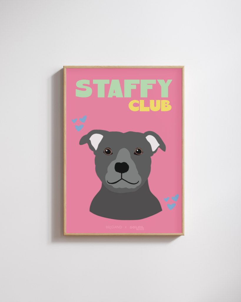 Affiche « Staffy Club » - Brigand